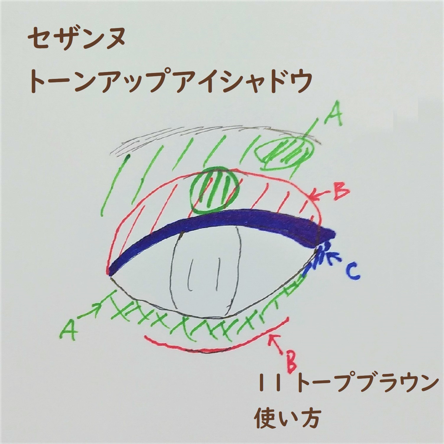 セザンヌ秋新作「トーンアップアイシャドウ11トープブラウン」質感・色味・使い方♪ | eikeroroのコスメ日記